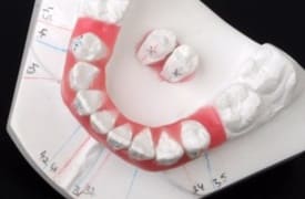 Index of /wp-content/uploads/2011/03